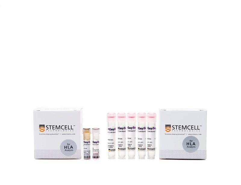 検索結果 | ベリタス